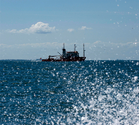 The Danish maritime industry - Danske Maritime